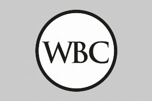 About Worthing Borough Council - Adur & Worthing Councils